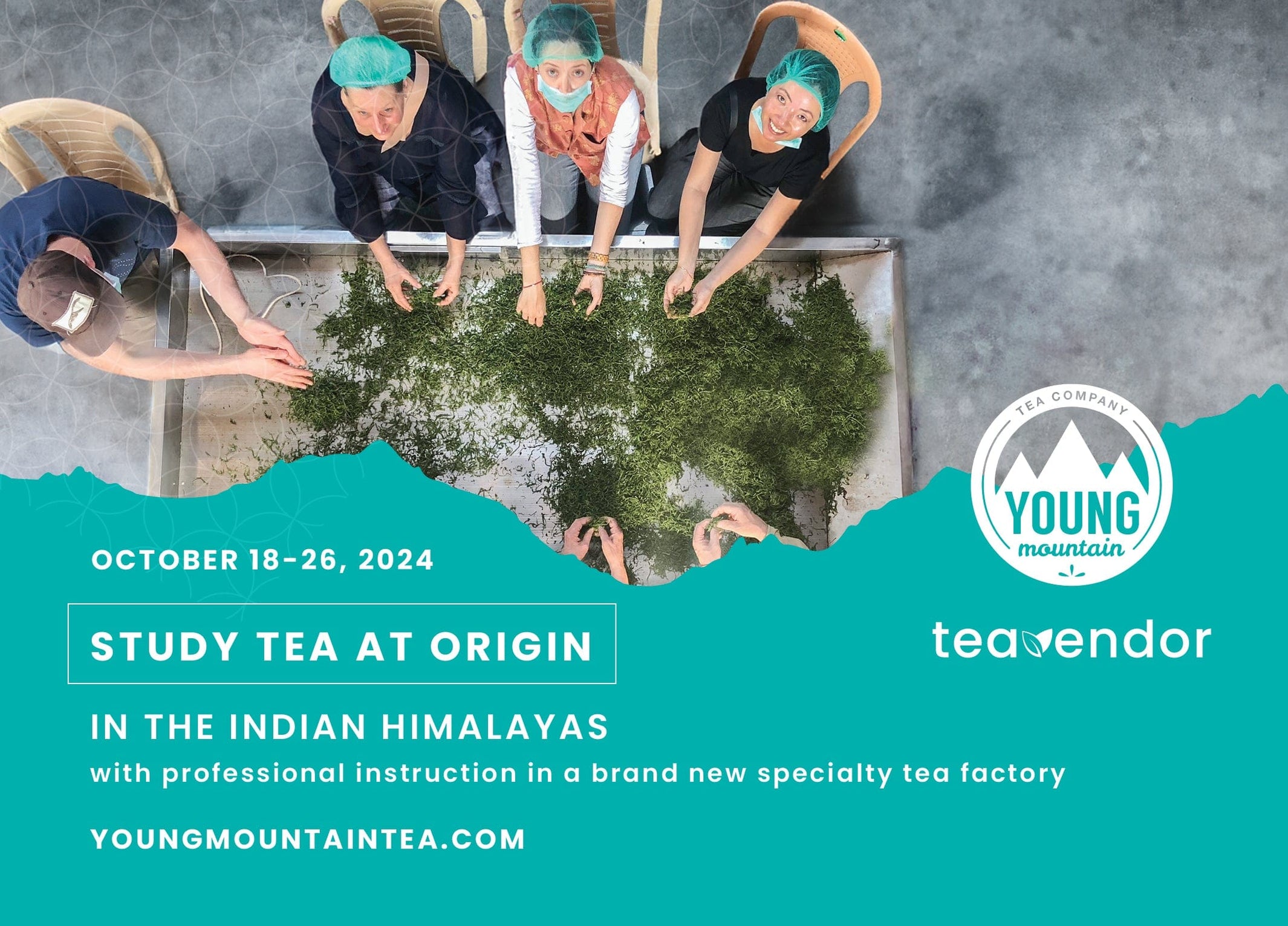 Guided Tea Trips | Guided Tea Tours | Tea Travel Tour – Young Mountain Tea